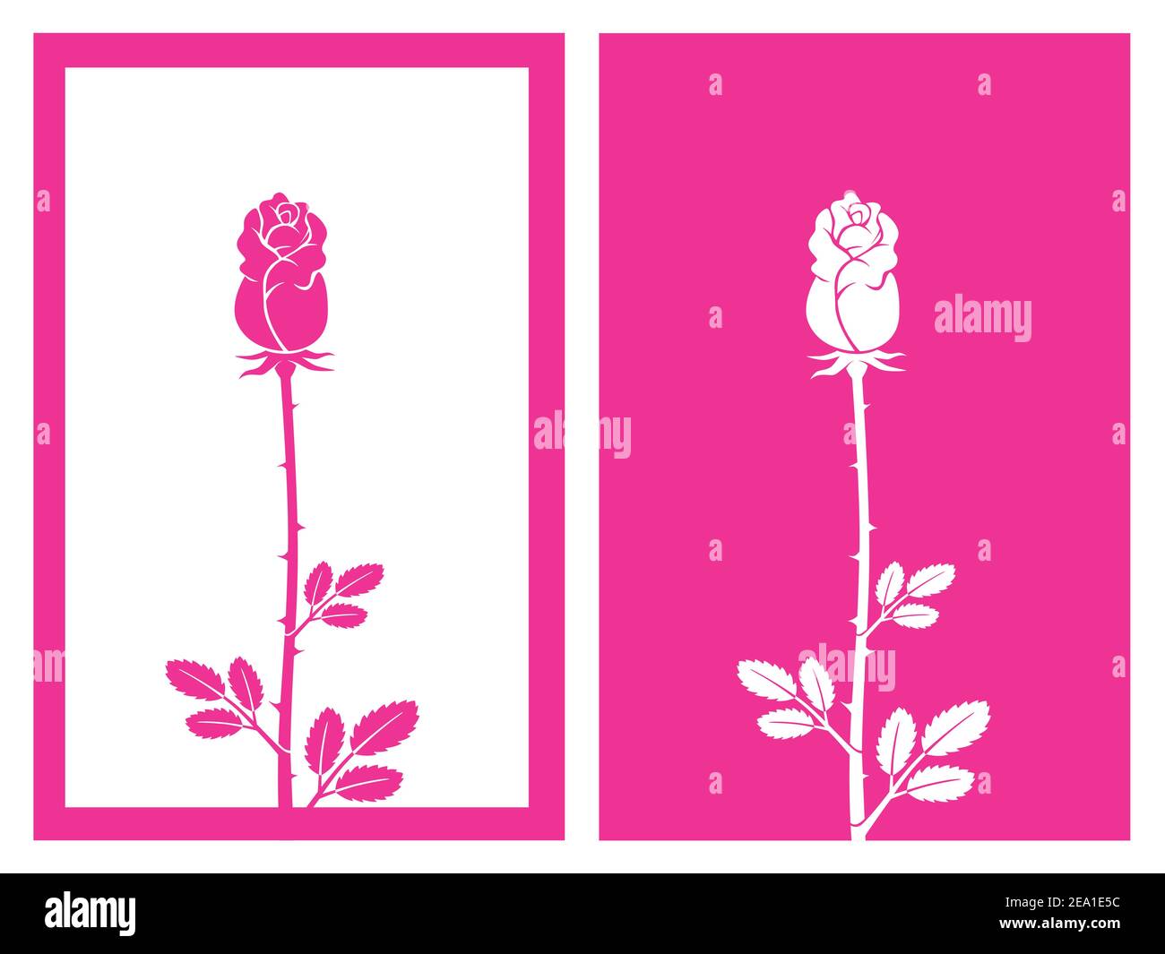 isolated pink rose bud,vector illustration Stock Vector Image & Art - Alamy