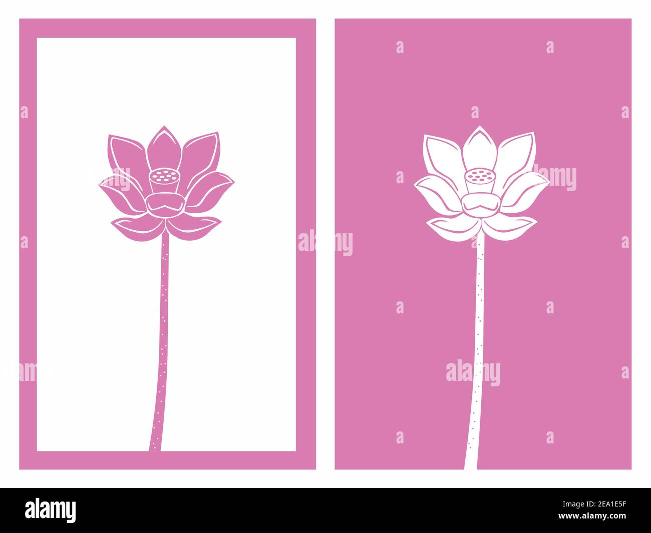 isolated pink lotus,vector illustration Stock Vector Image & Art - Alamy