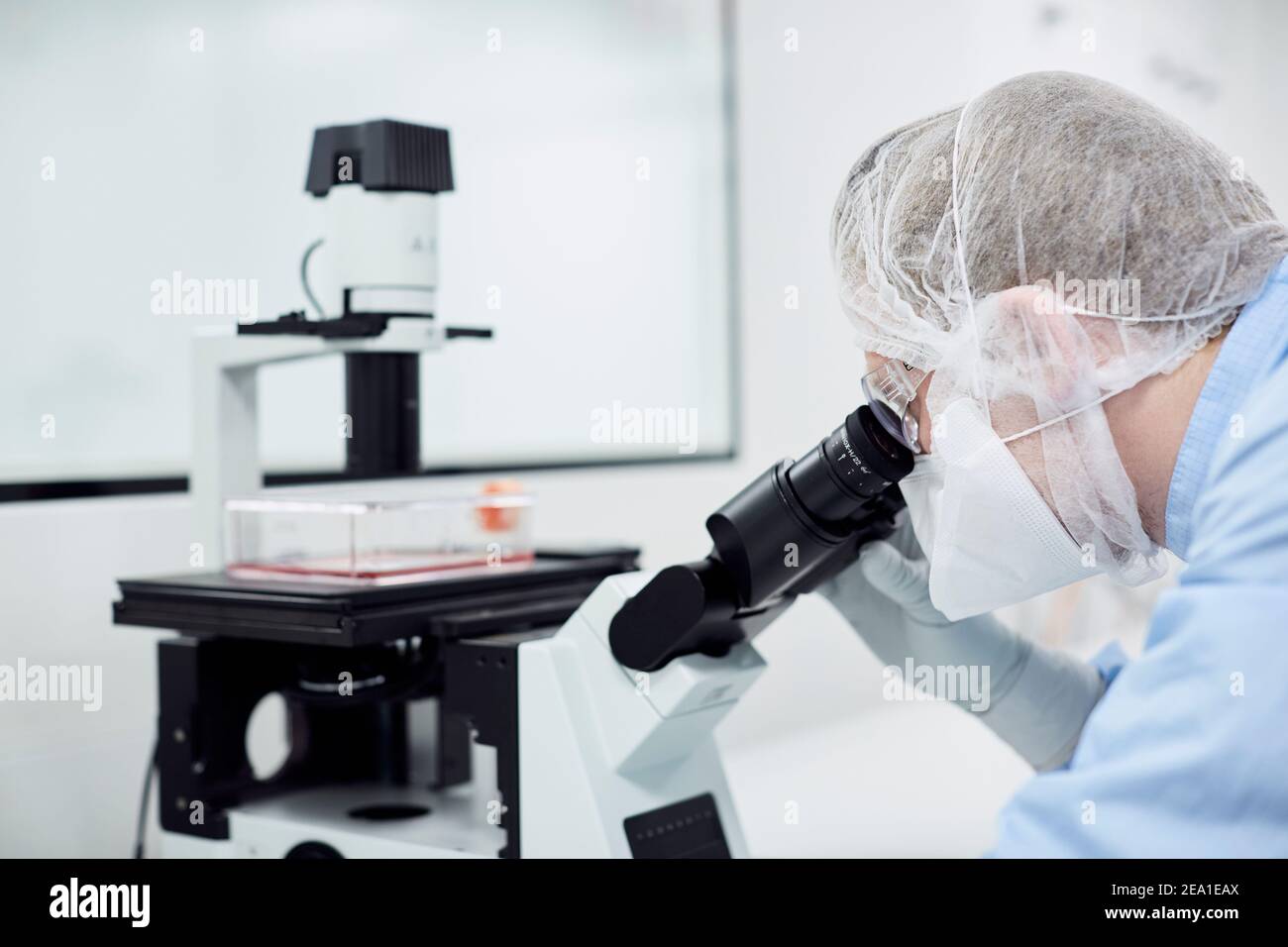 UK Science Vaccine Laboratory Stock Photo - Alamy