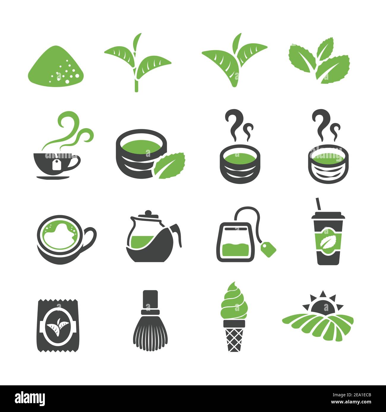 Matcha powder vector vectors hi-res stock photography and images - Alamy