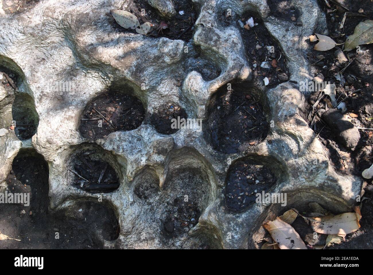 small rock formation with the degeneration of the rock layer through ...