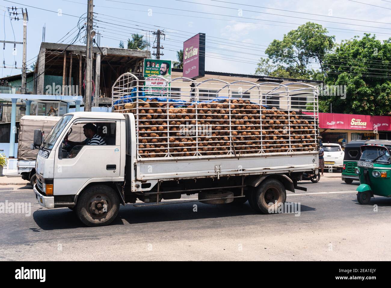 Load Of Coconuts High Resolution Stock Photography and Images - Alamy