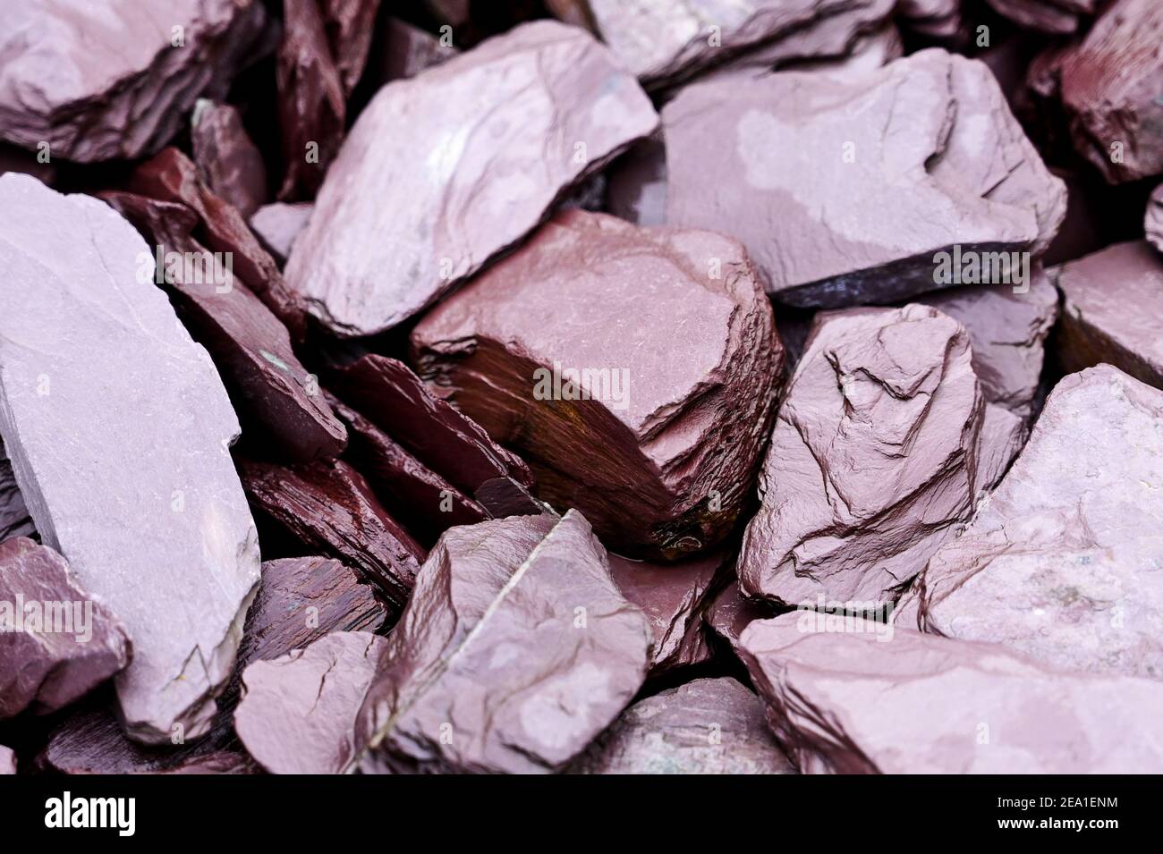 Decorative garden backdrop hi-res stock photography and images - Alamy