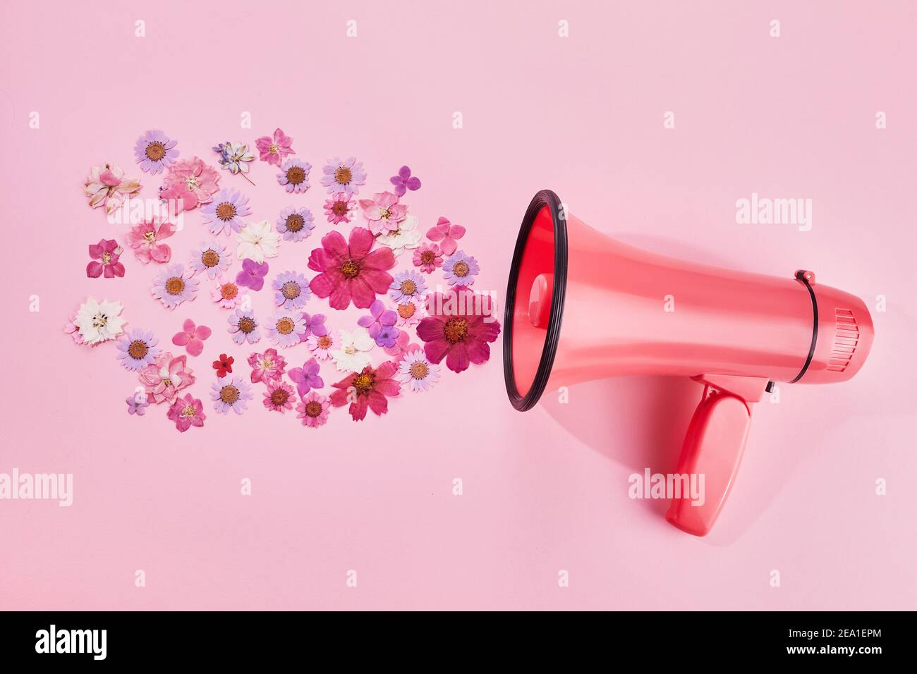 Pink megaphone with colorful flowers on pink background. Minimal nature ...