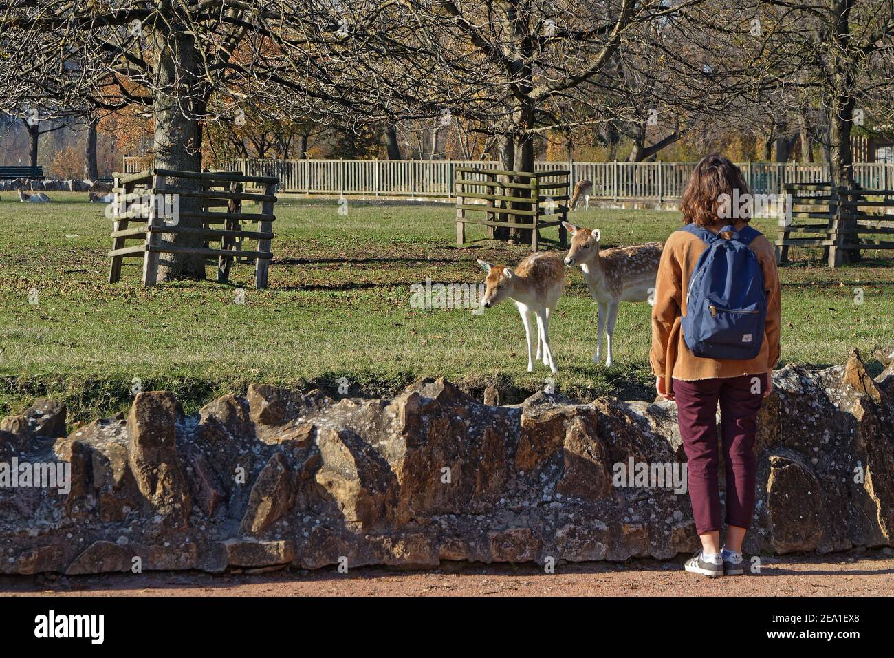 LYON, FRANCE, November 27, 2020 : A the zoo in parc de la Tete d'Or ...