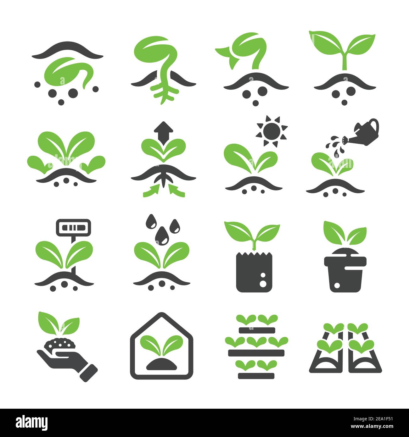 Plant sapling Stock Vector Images - Alamy