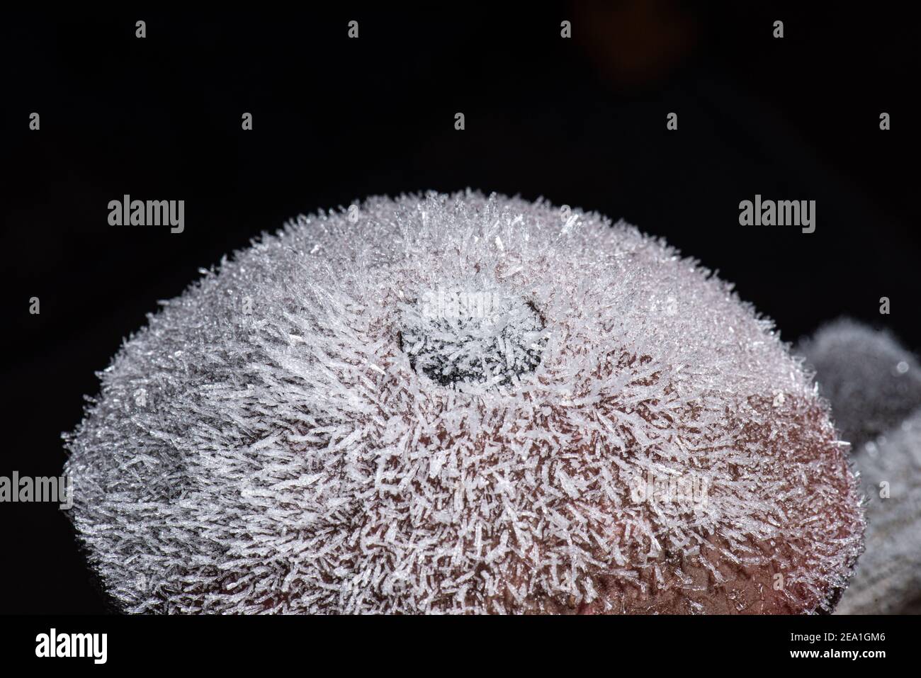 Ice brystals forming on a round red metal shape Stock Photo - Alamy