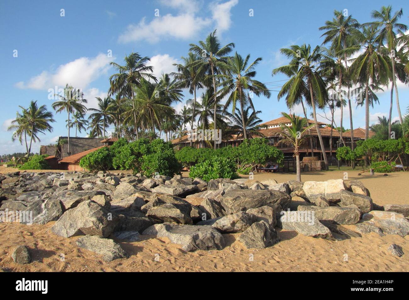 Ranweli holiday village nestled behind palm trees at Waikkal beach on ...