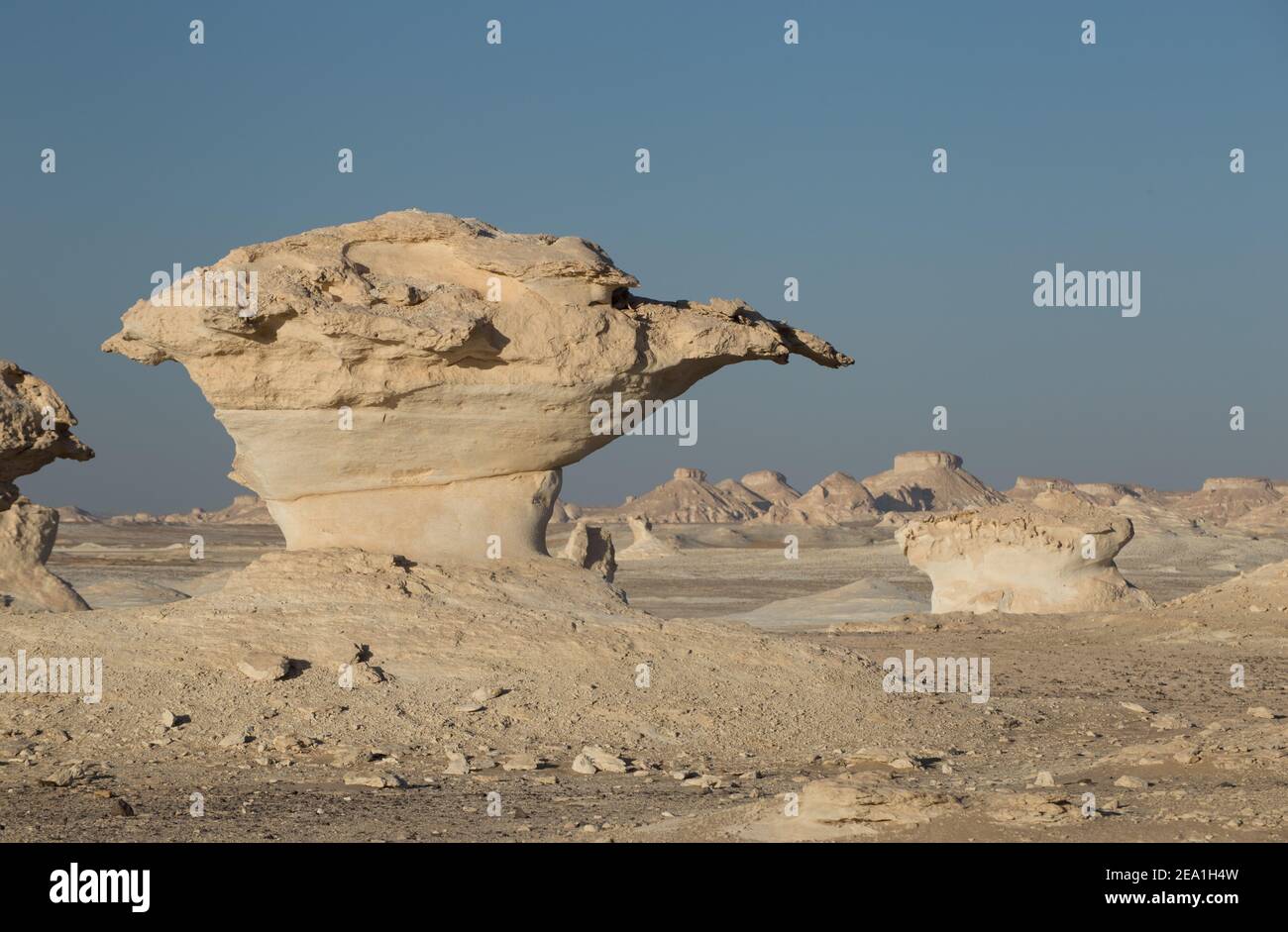 Outstanding rock formation in the White desert, Egypt Stock Photo - Alamy