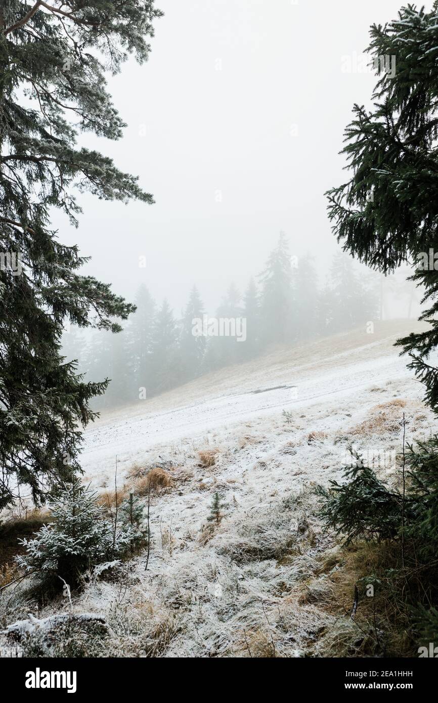 Closed slope hi-res stock photography and images - Alamy