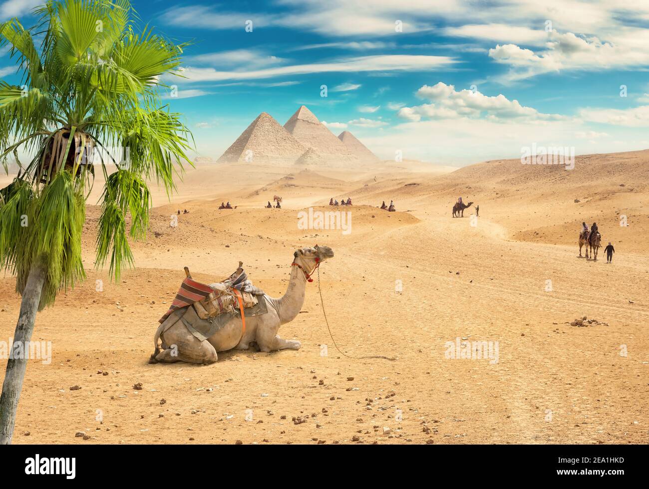 Sandy desert in Egypt at the sunset Stock Photo - Alamy