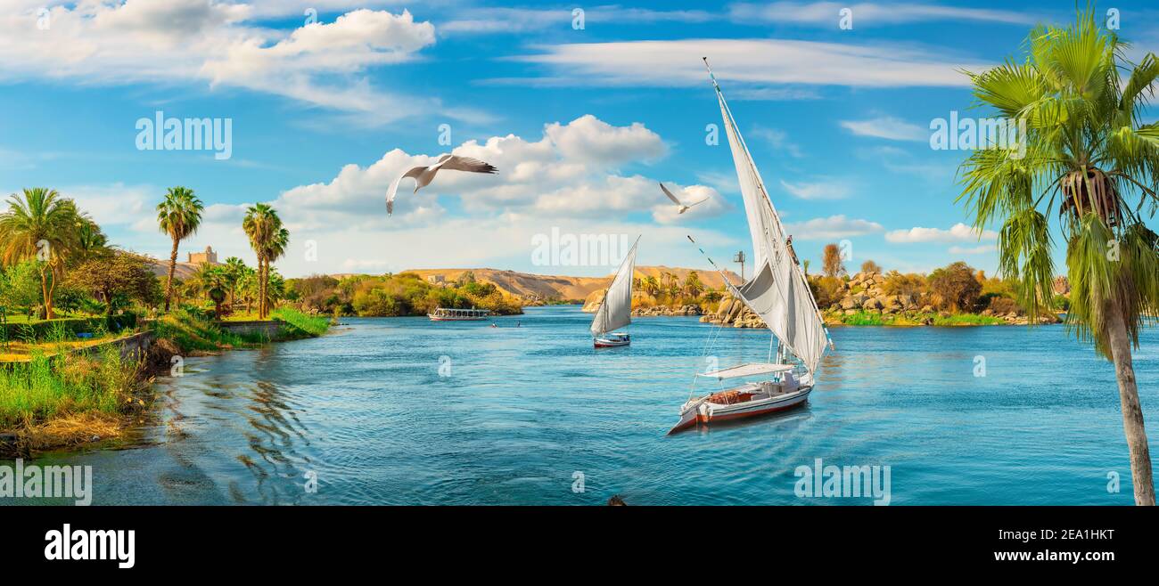 View of the Great Nile in Aswan Stock Photo - Alamy