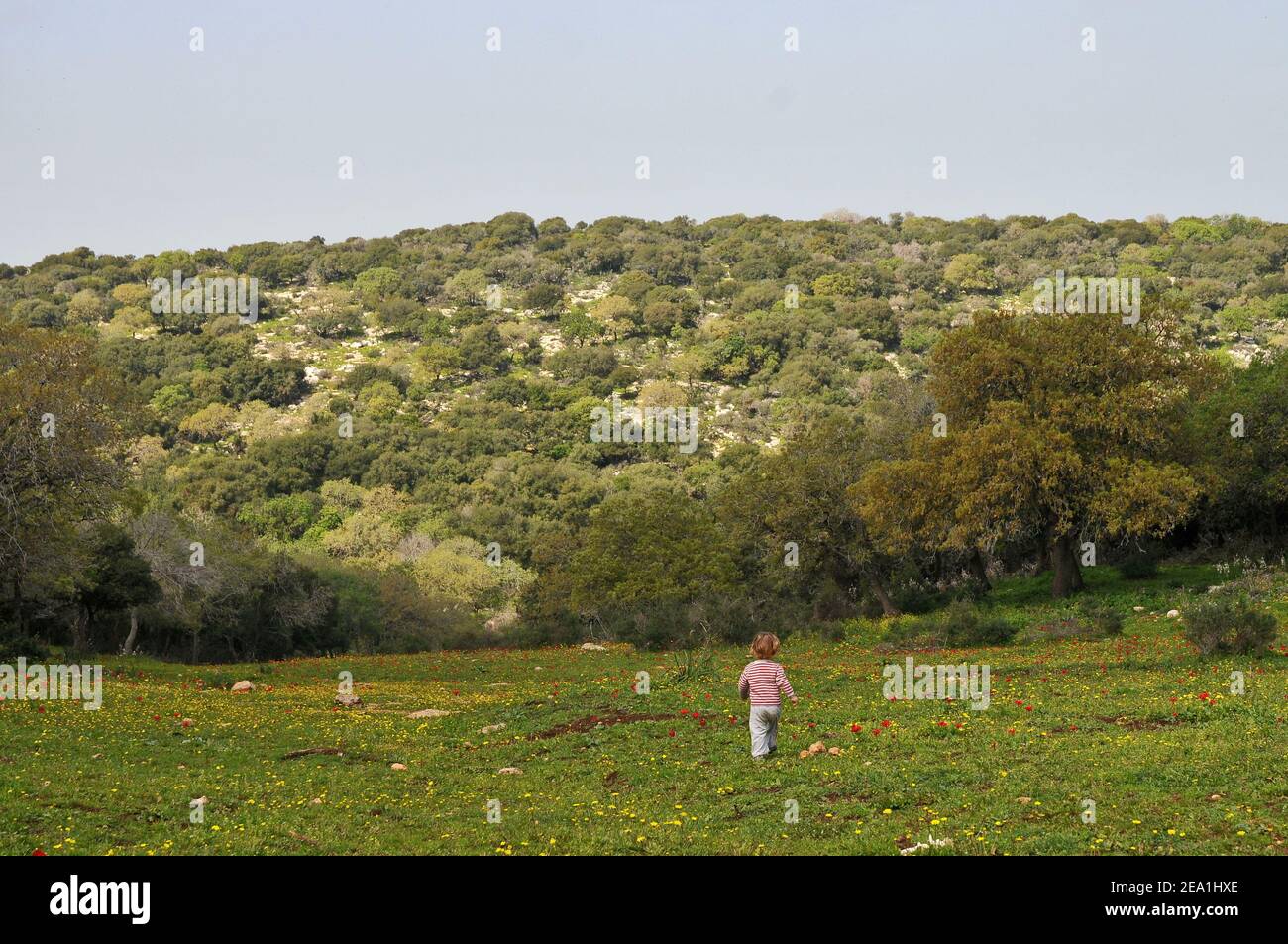 A back view of a child having fun in the field Stock Photo - Alamy
