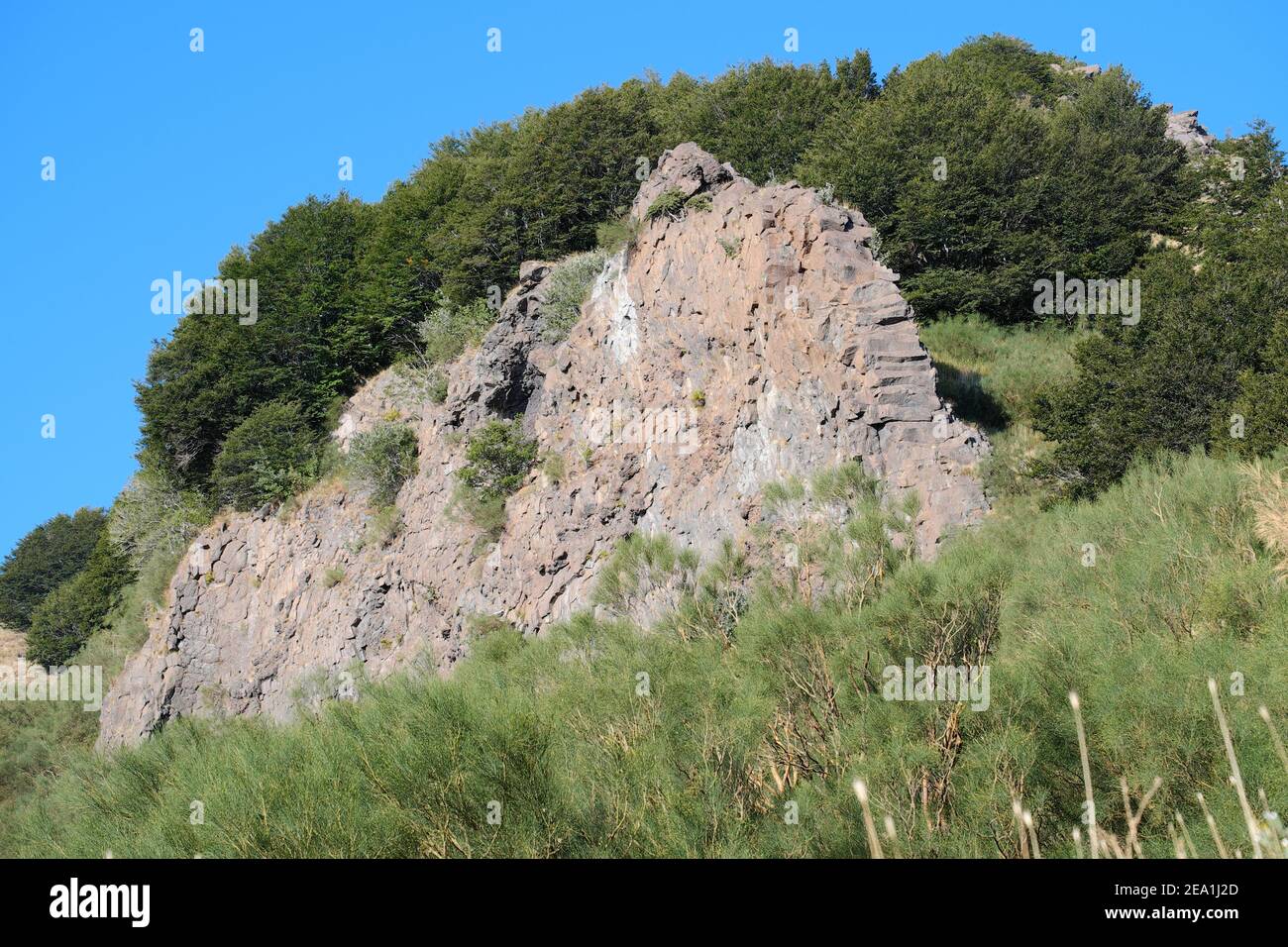 rock face with trees and shrubs background in Etna Park, Sicily Stock ...