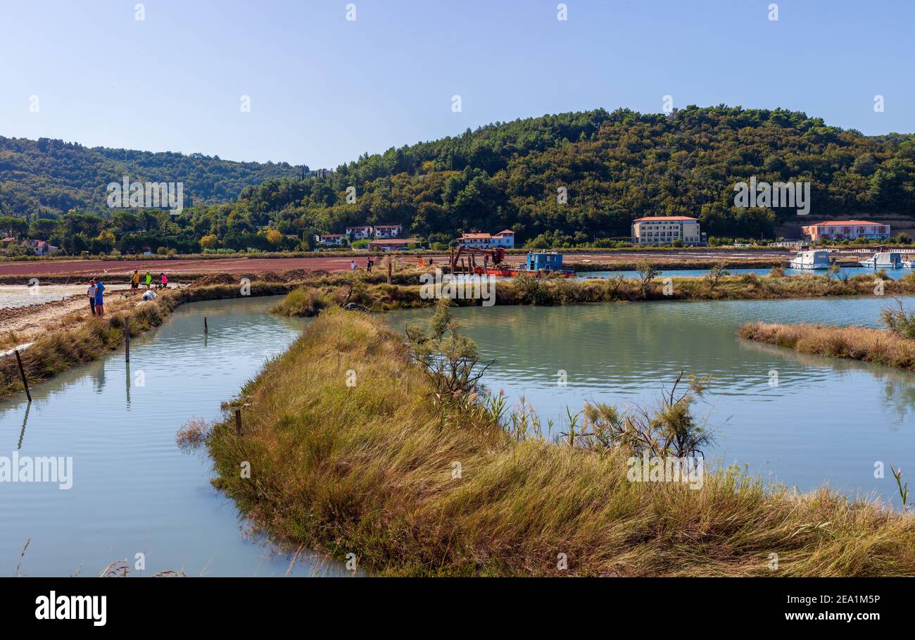Strunjan peninsula hi-res stock photography and images - Alamy