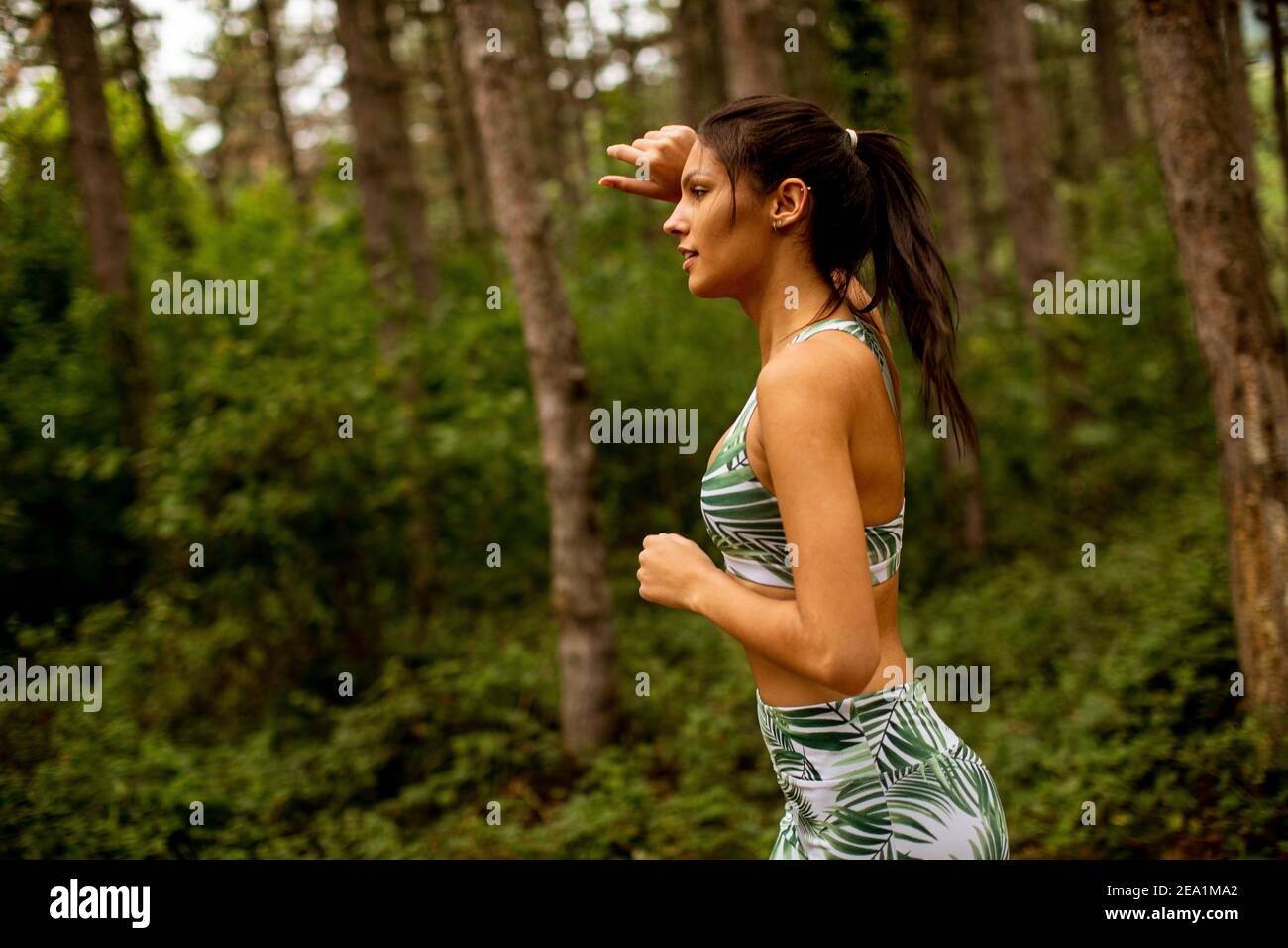 Pretty young fitness woman running at the forest trail Stock Photo - Alamy