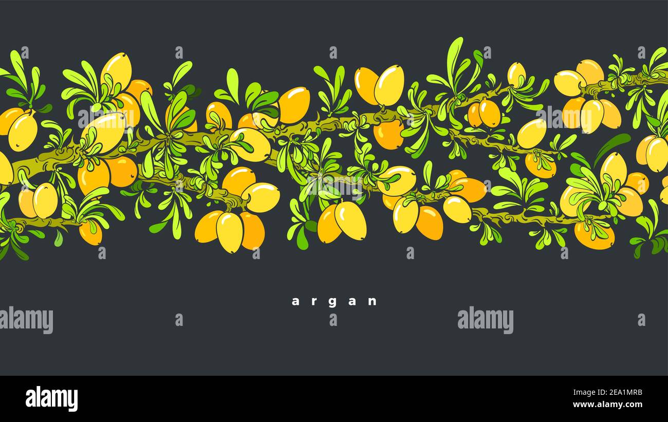 Argan tree pattern. Vector oil beans, green leaves. Art graphic ...