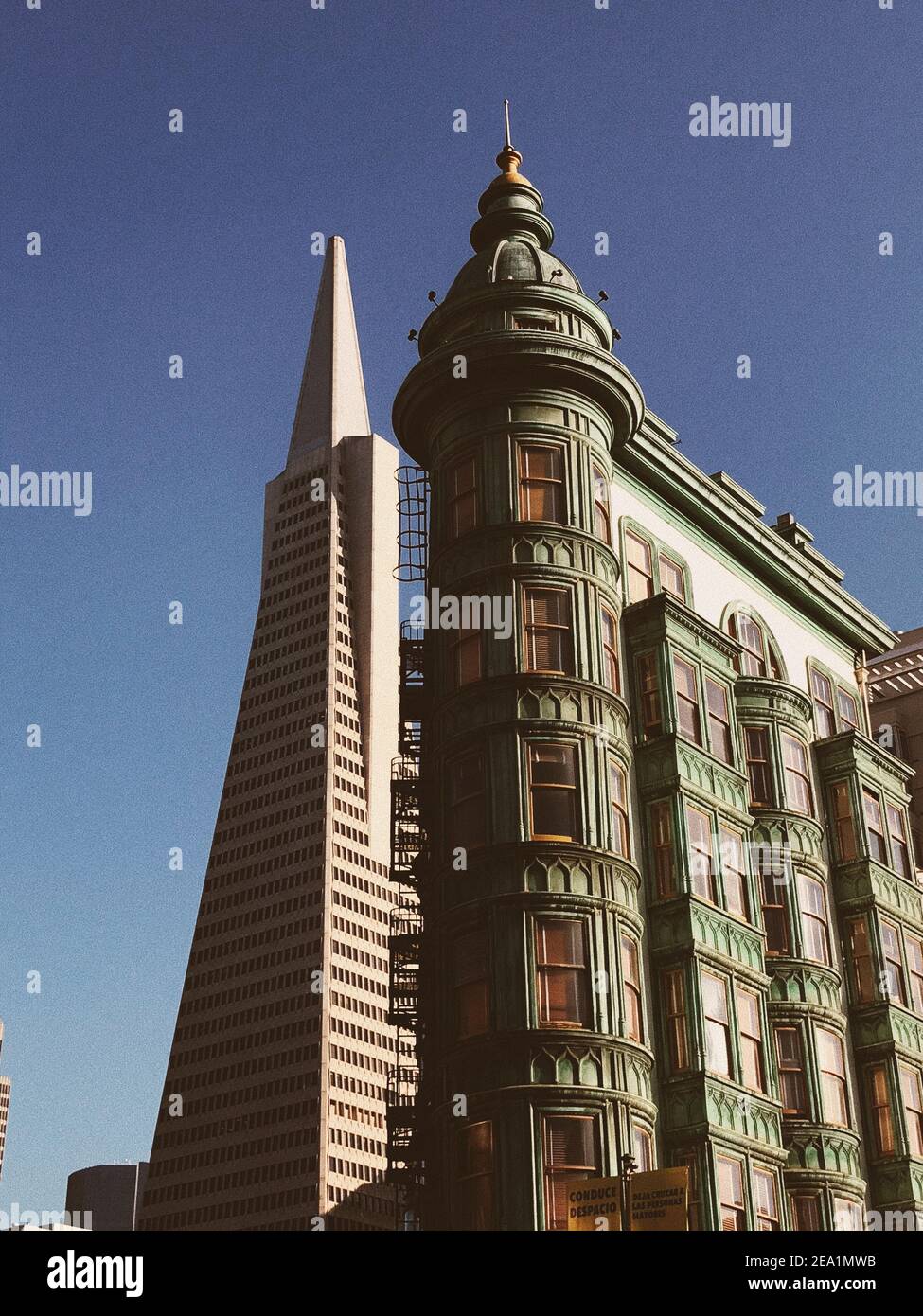 A vertical shot of a beautifully architectured Transamerica Pyramid and ...
