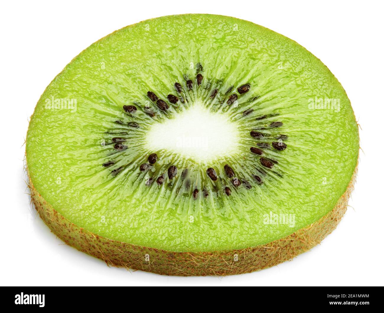 Kiwi Fruit Slice