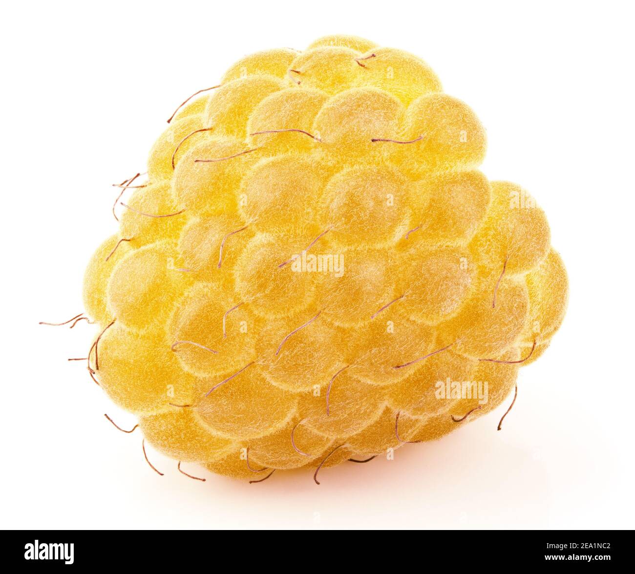 One yellow raspberry berry fruit isolated on white background Stock ...