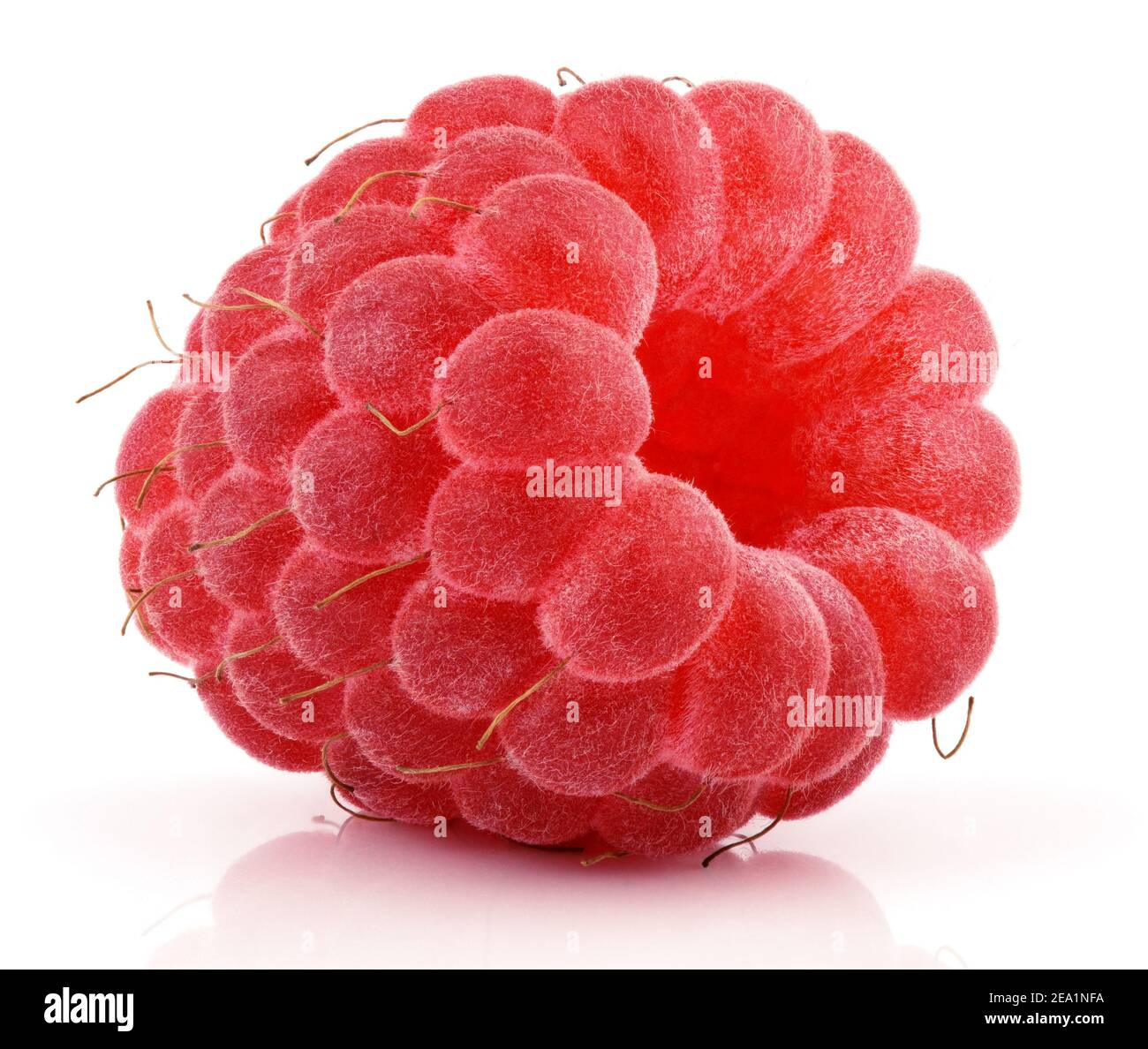 Single red raspberry berry fruit isolated on white background Stock ...