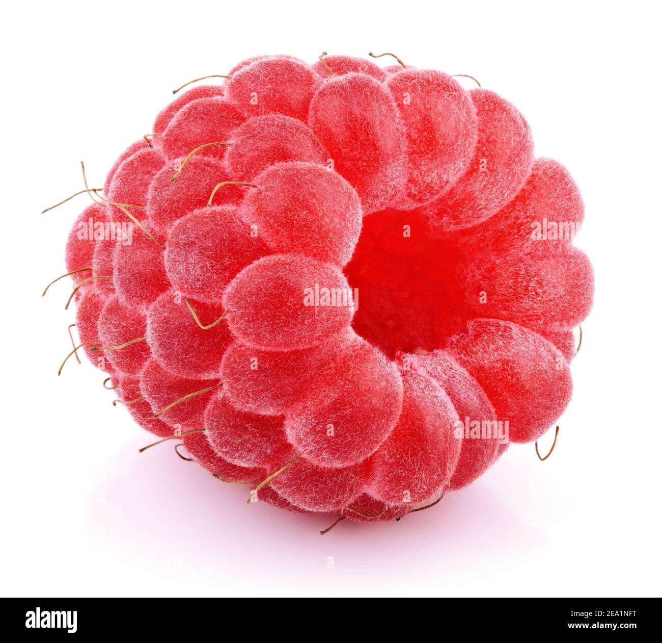 Single red raspberry berry fruit isolated on white background Stock ...
