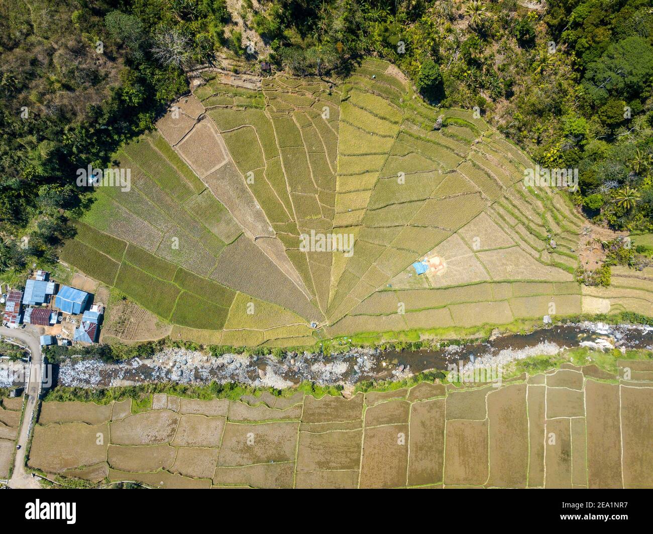 Ruteng Rice fields in Flores Islands Indonesia Stock Photo - Alamy