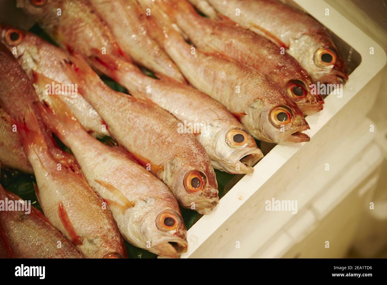 A closeup of fresh frozen fish in a market Stock Photo - Alamy
