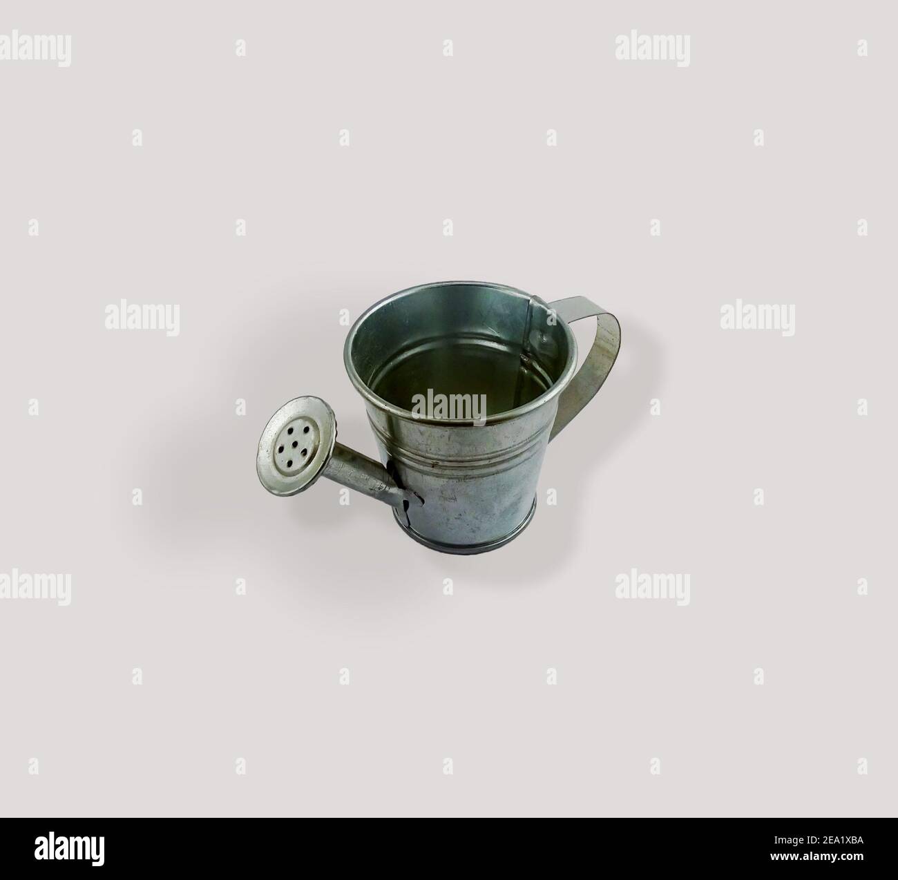 Insulated metal bucket with an accessory for watering plants in the ...