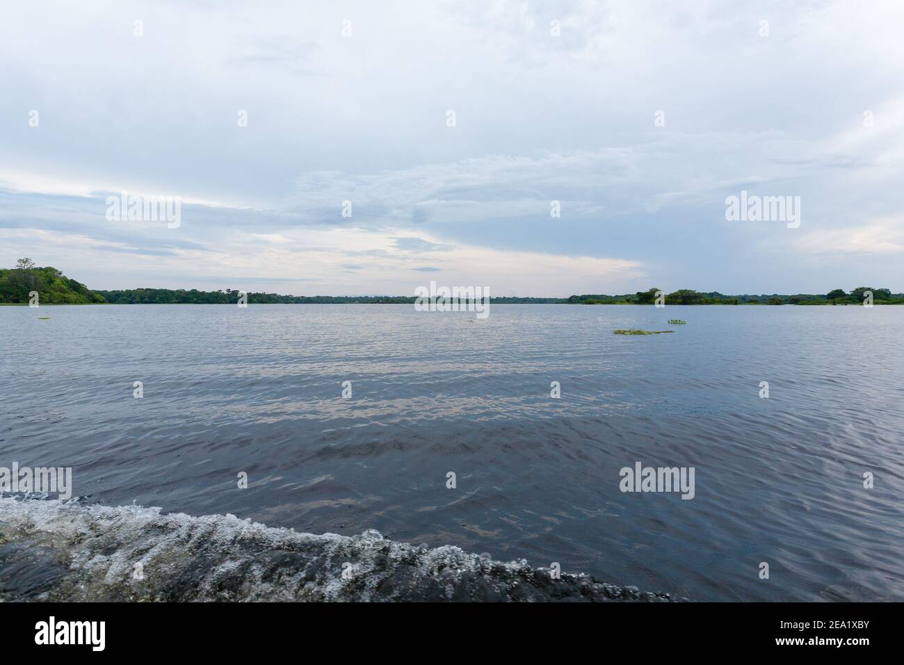 Panorama from Amazon rainforest, Brazilian wetland region. Navigable ...