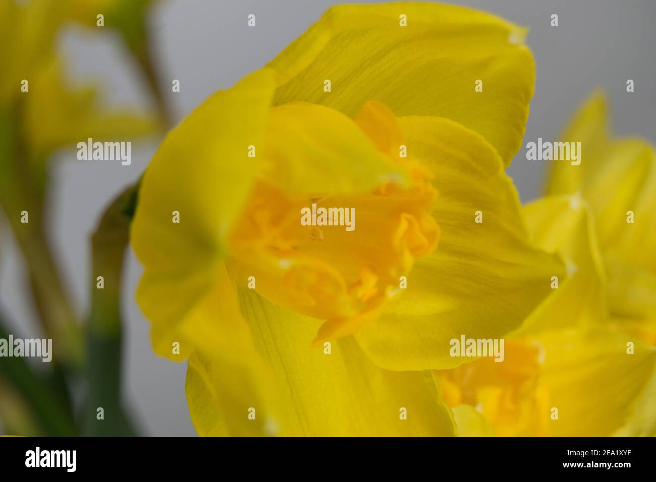 Props up head hi-res stock photography and images - Alamy