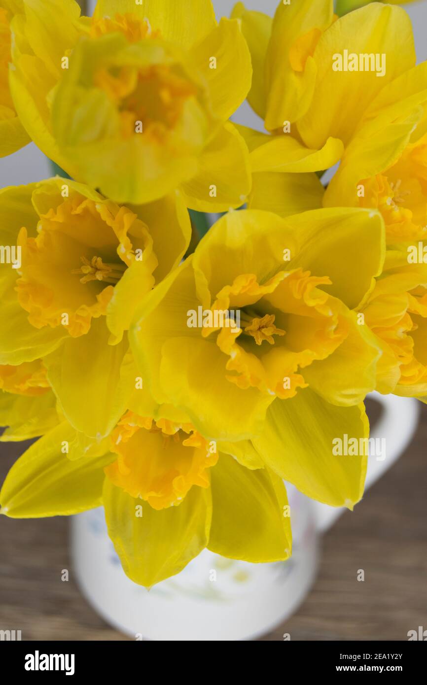 Jug of spring flowers hi-res stock photography and images - Alamy