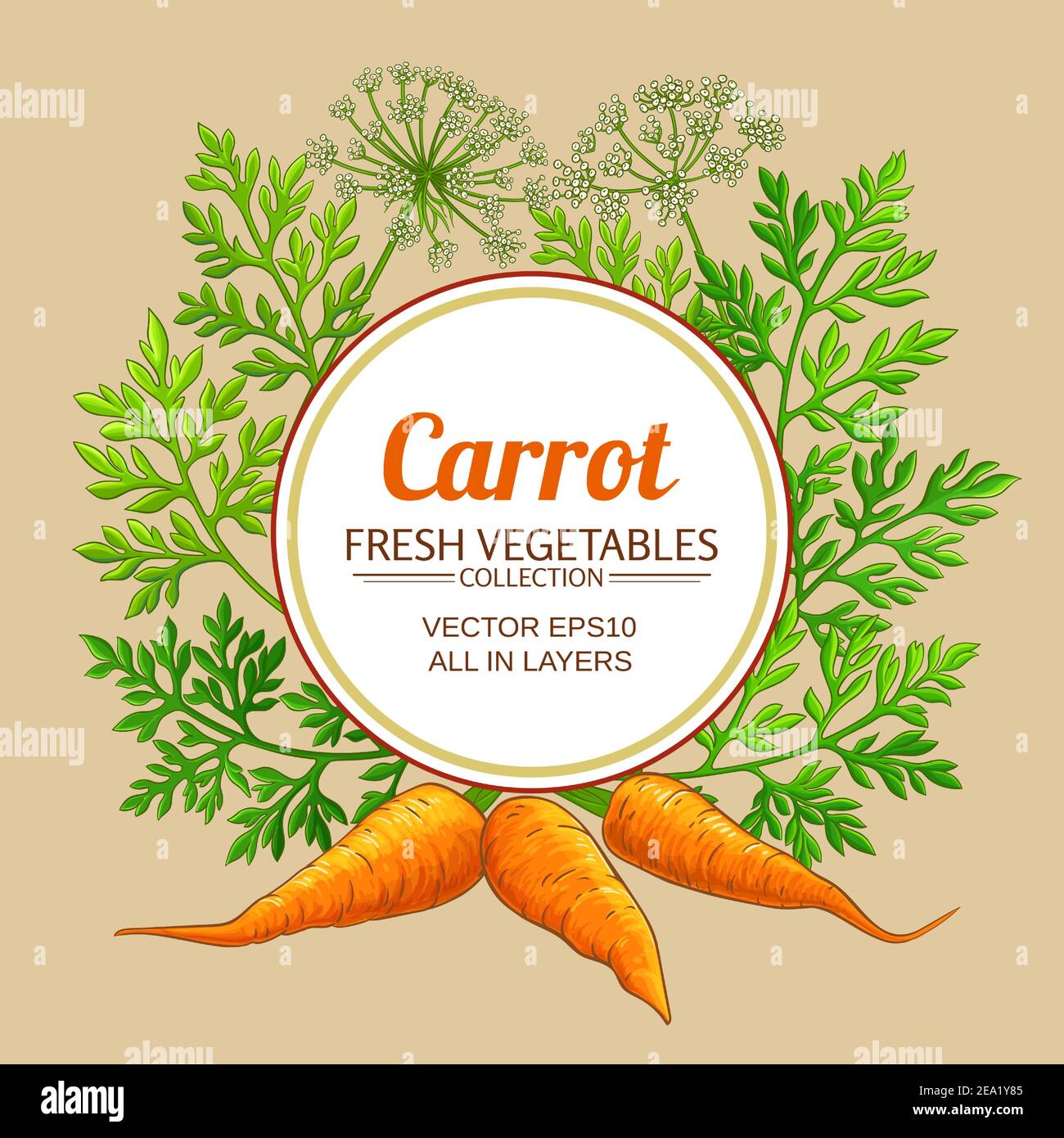 Carrot root vegetable cartoon illustration hi-res stock photography and ...