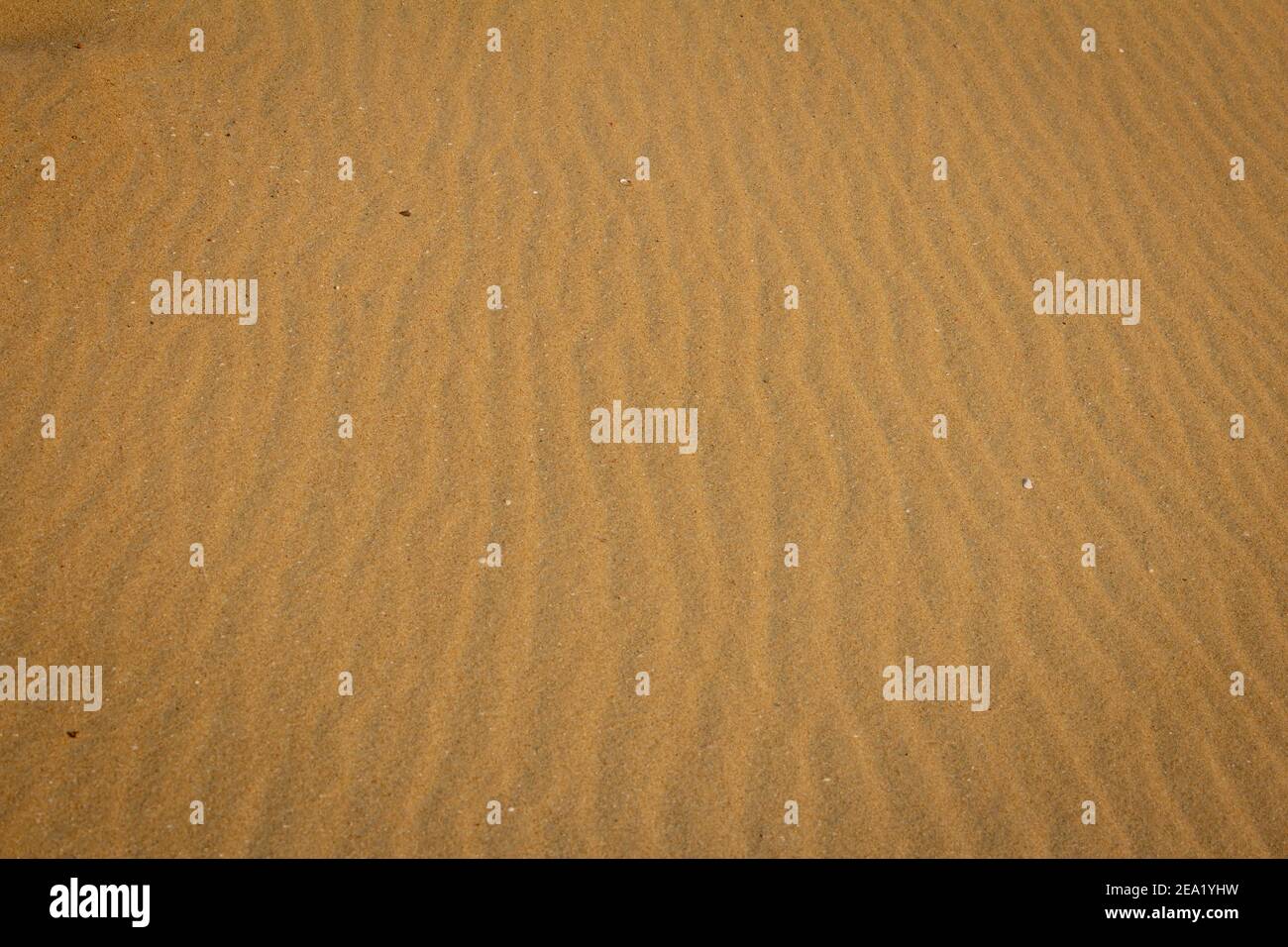 View of fine beach sand with wave design caused by wind, Chennai, India ...