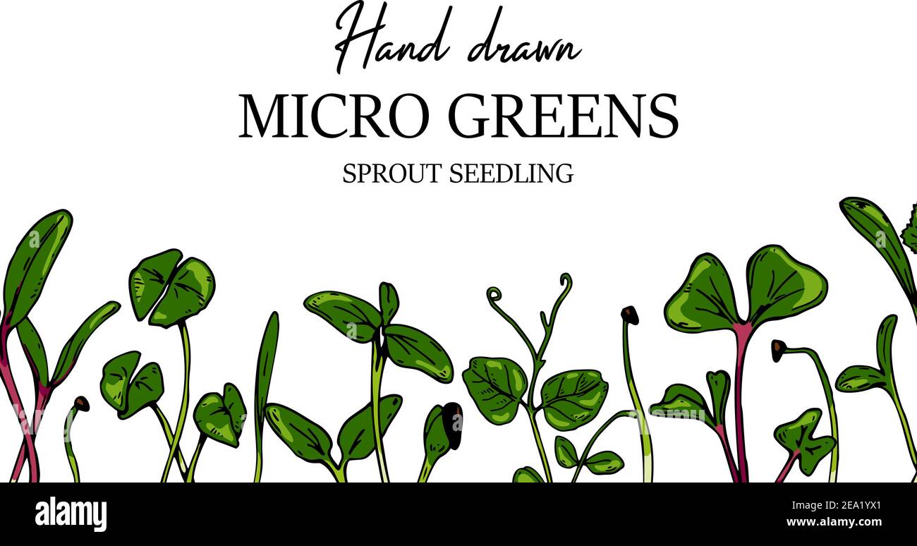 Horizontal border design hand hi-res stock photography and images - Alamy