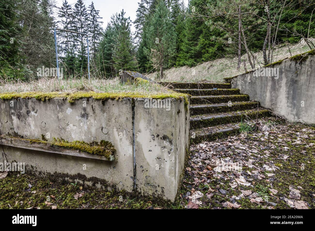 overgrown entrance with stairs and moss Stock Photo - Alamy