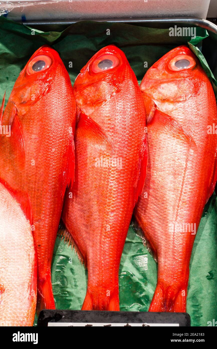 A vertical shot of fresh fishes in a market Stock Photo - Alamy