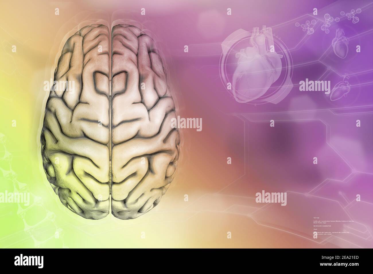 Medical 3D illustration - human brain, neuron network development ...