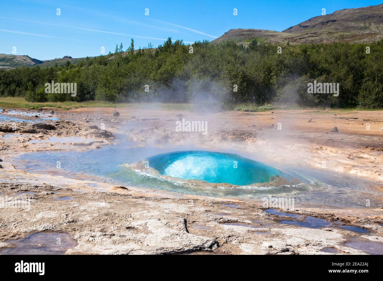 Geyser in Iceland against the blue sky and forest. A small ball of ...