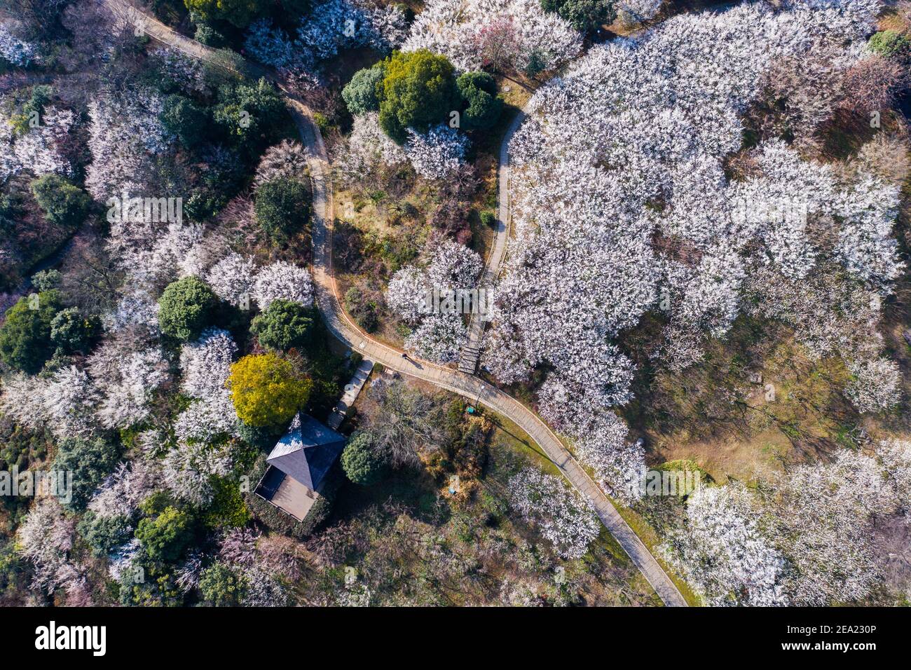 Zhejiang hangzhou yuhang district hi-res stock photography and images ...