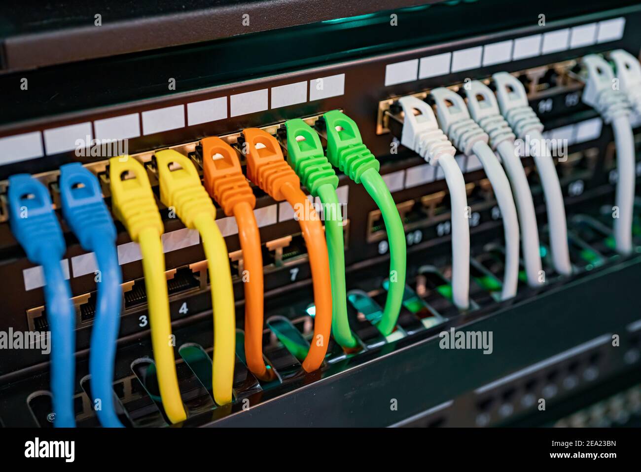 Colorful Telecommunication Colorful Ethernet Cables Connected to the Switch in Internet Data ...