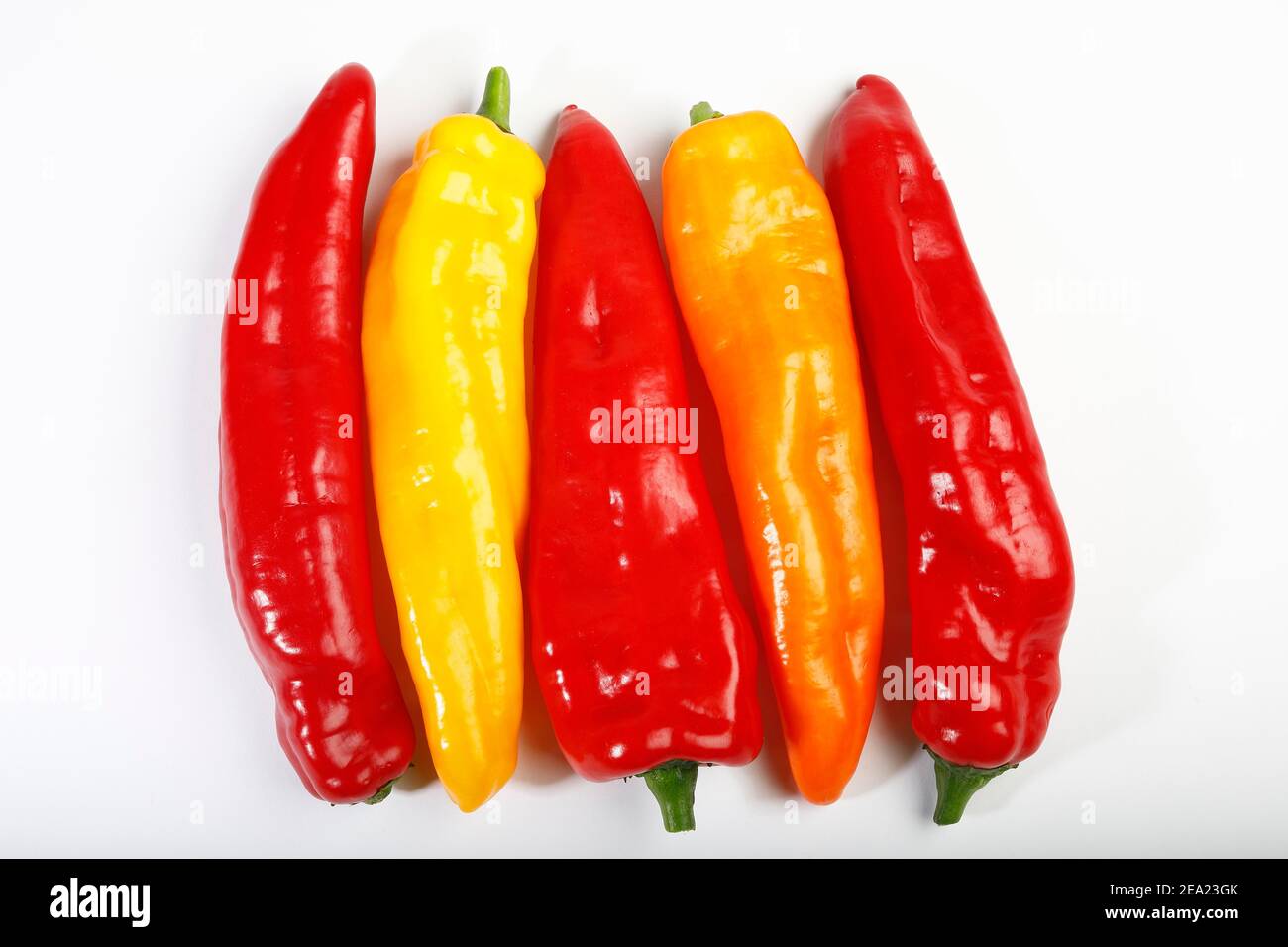 Studio photo hi-res stock photography and images - Alamy