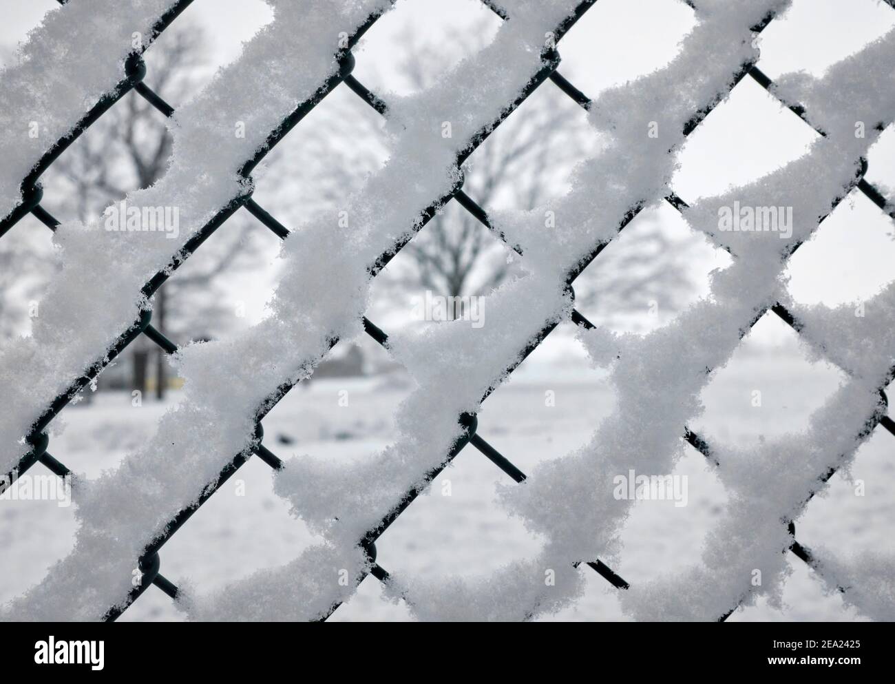Wire mesh fence hi-res stock photography and images - Alamy