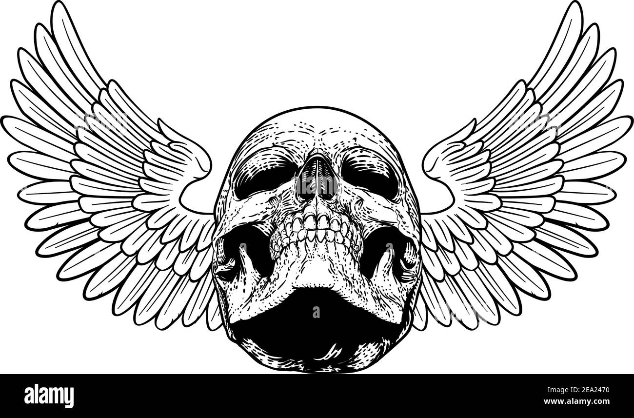 Winged Skull Vintage Woodcut Illustration Stock Vector Image & Art - Alamy