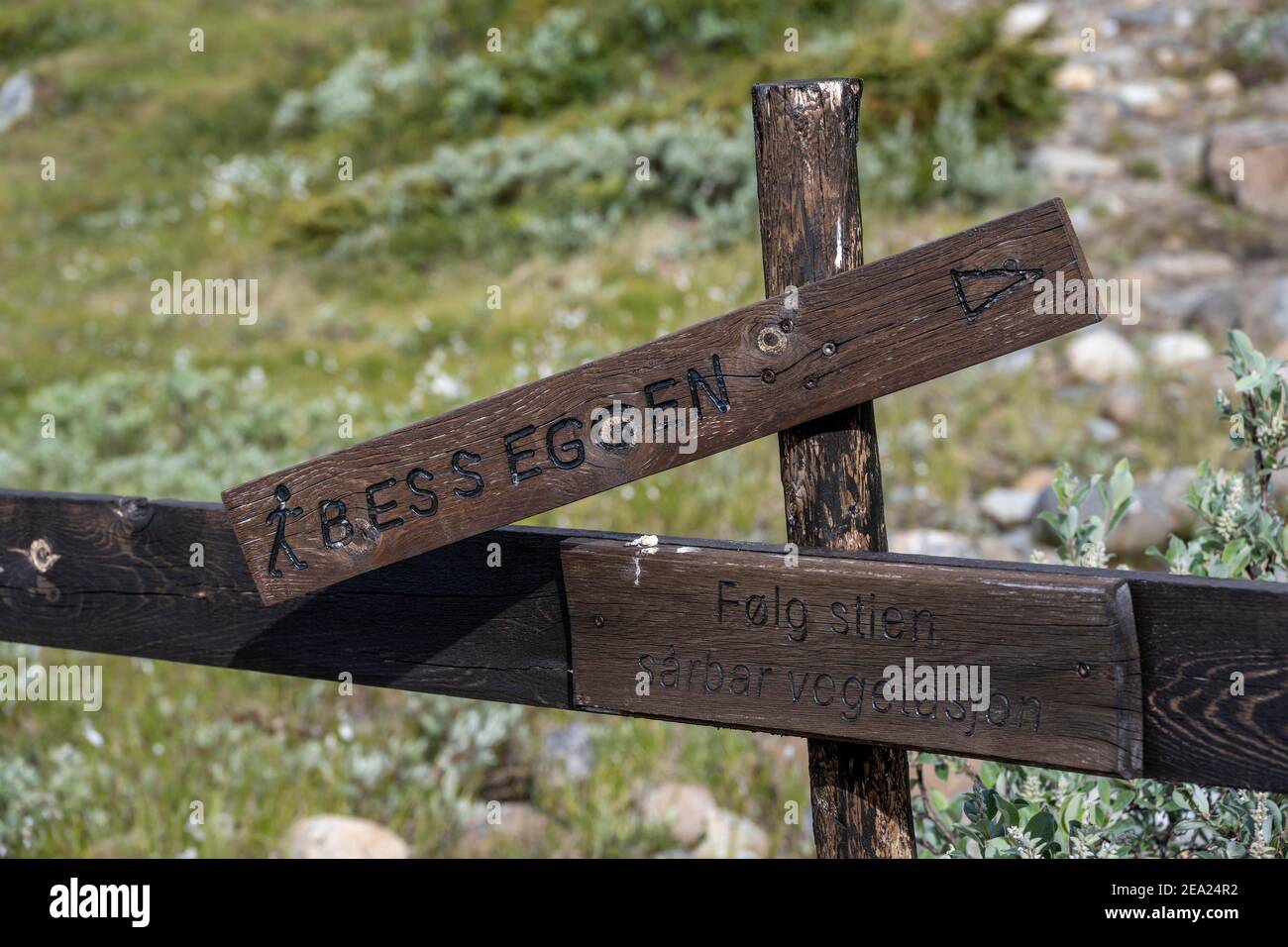 Guide to the Besseggen Hike, Jotunheimen National Park, Vaga, Innlandet ...