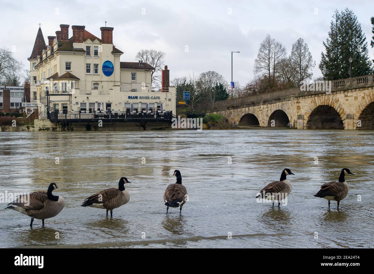 Blue river cafe maidenhead hi-res stock photography and images - Alamy