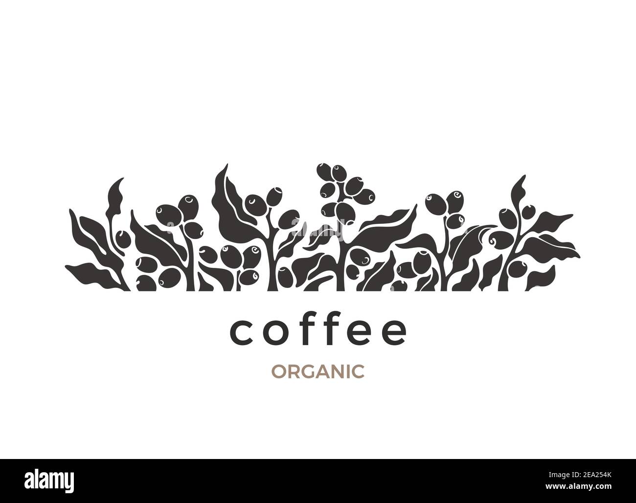 Coffee plant. Vector border. Shape of branch, leaf, aroma beans. Nature ...