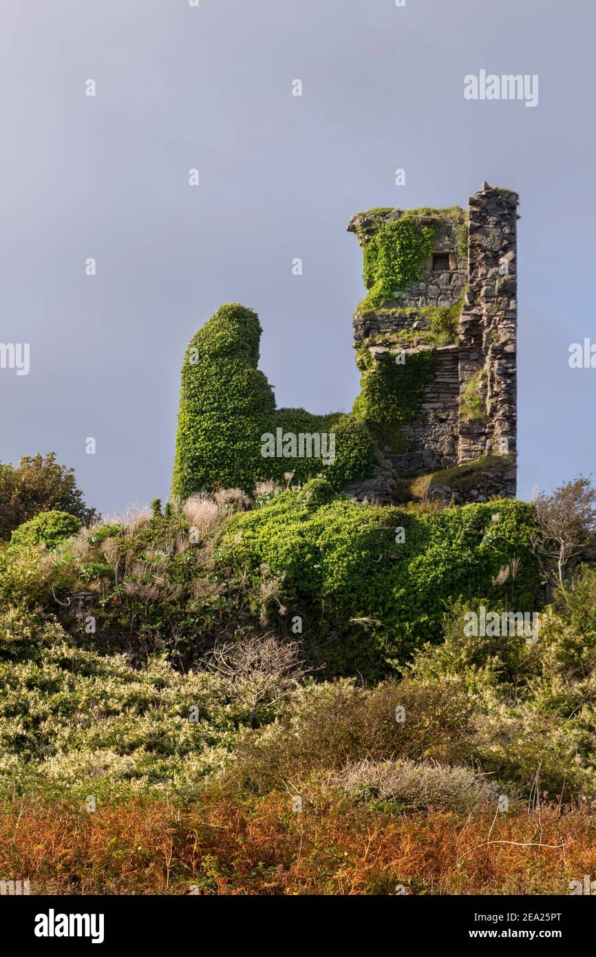 Kildonan castle on Arran Scotland Stock Photo - Alamy