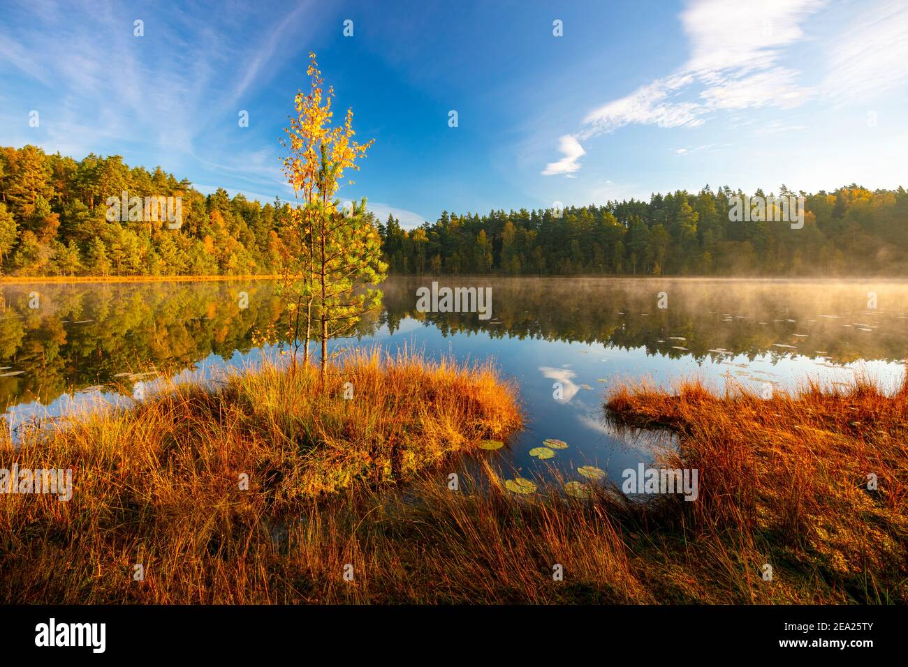 Full autumn colors hi-res stock photography and images - Alamy
