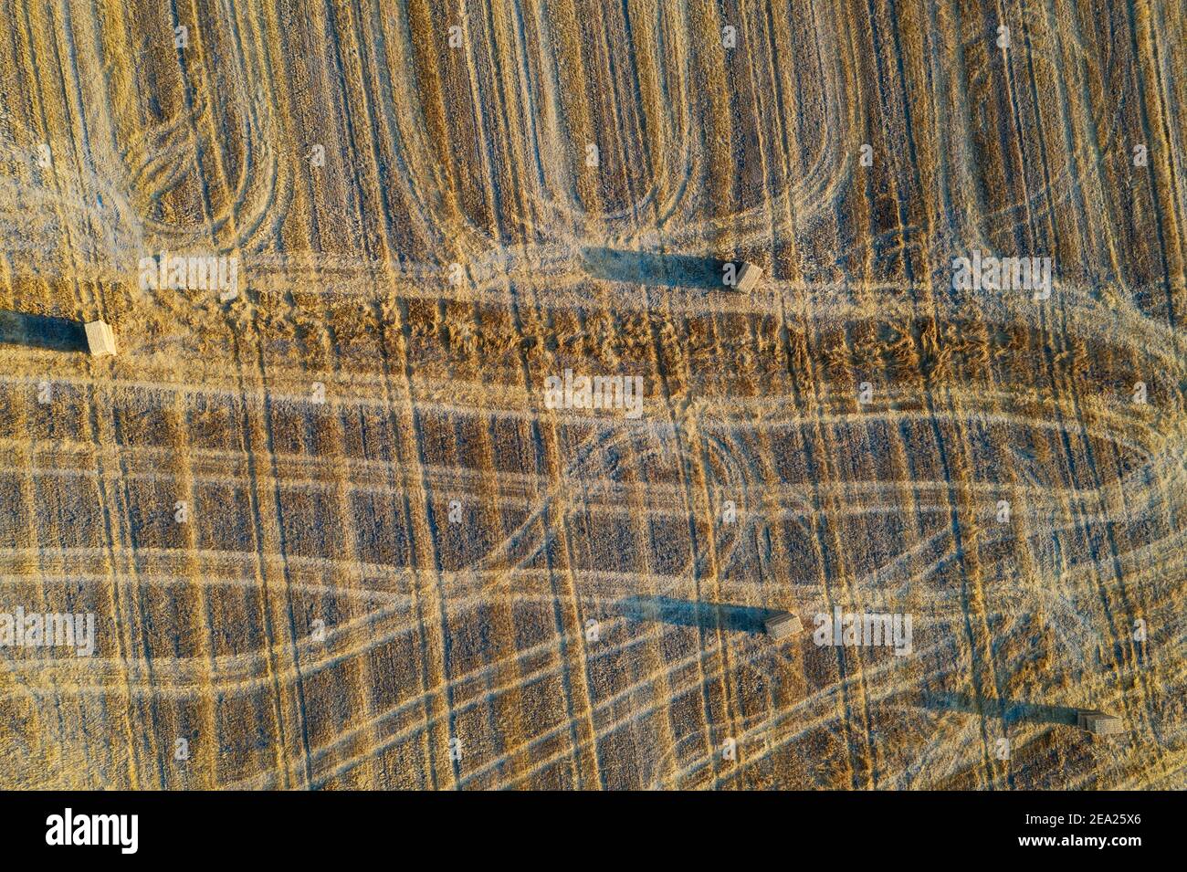 Tractor straw bale wheat hi-res stock photography and images - Alamy
